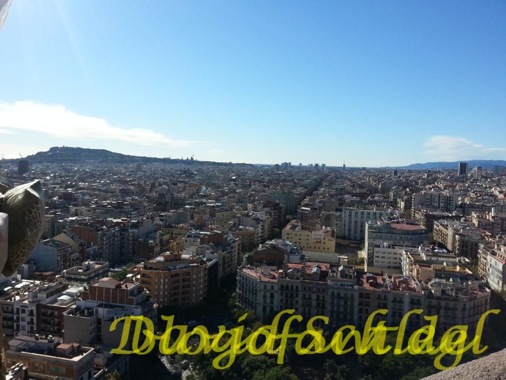 Barcelona - Blogofant - Elefantisch gut!